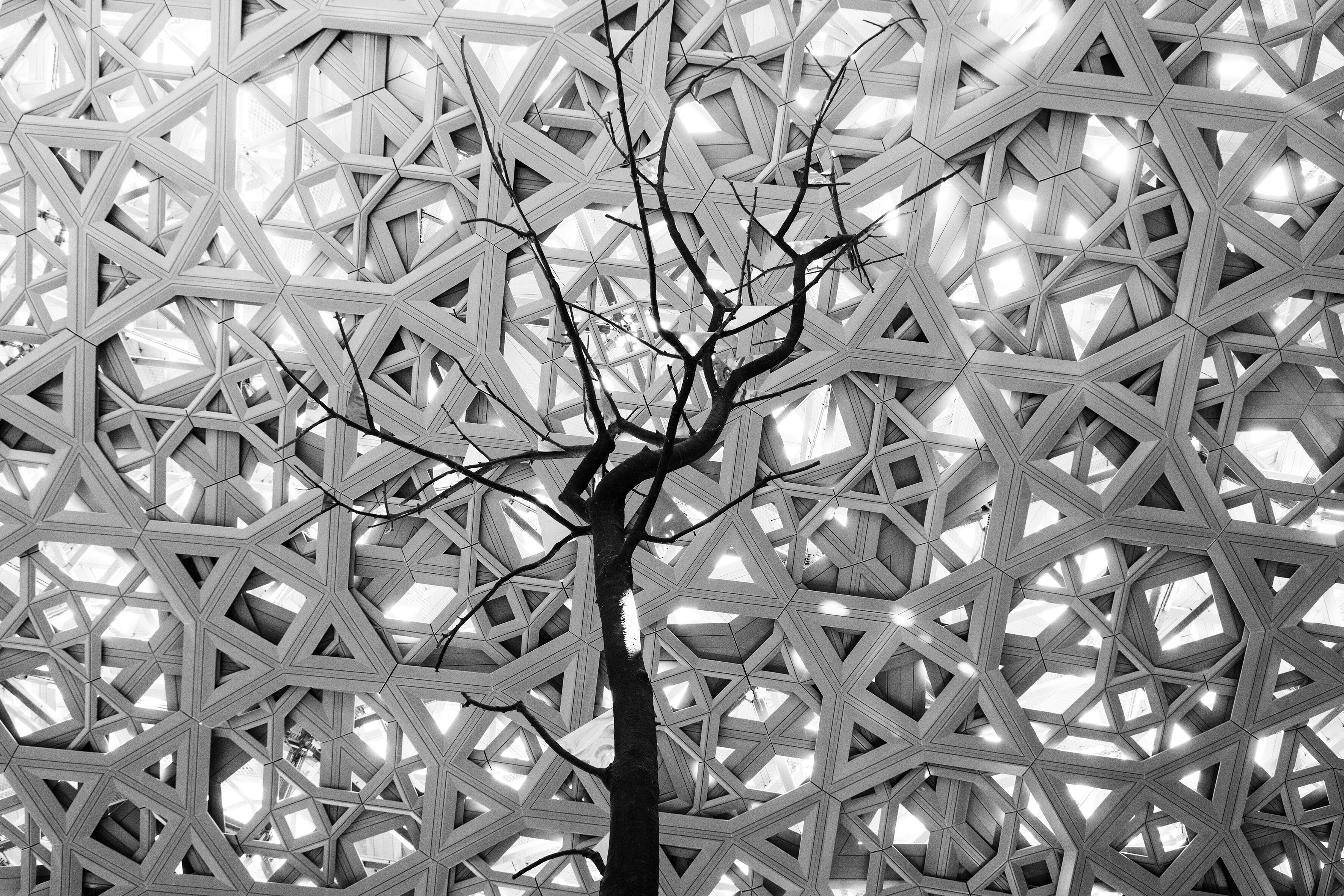 Digital Marketing Agency in Abu Dhabi and Dubai | Cosmopole